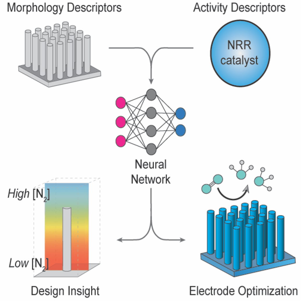 Electrochemical interfaces for energy, biology, and environment | The ...