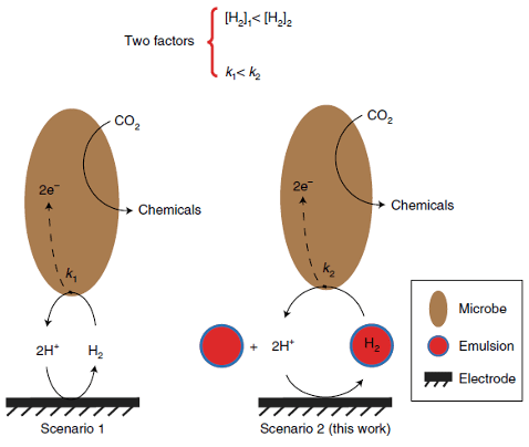 Electrochemical interfaces for energy, biology, and environment | The ...