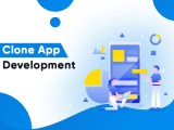 Clone App Development Company Get Readymade Clone App Scripts On