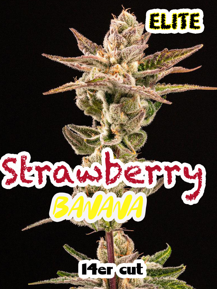 strawberry banana - CloneySoprano