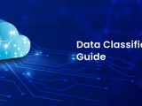 5 Types Of Data Classification Examples Benefits Process
