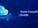 5 Types Of Data Classification Examples Benefits Process