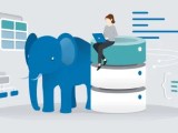 Custom Postgresql Development Service