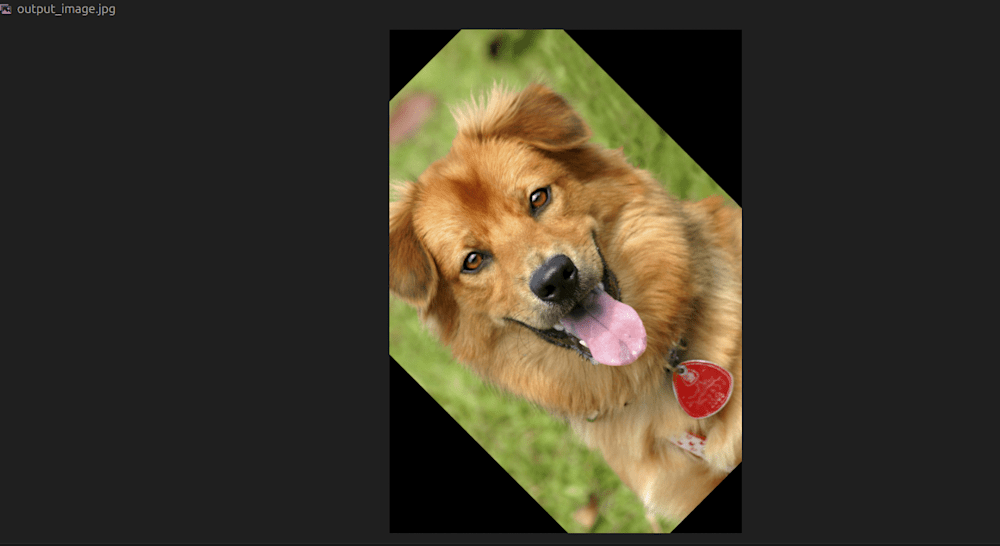 Rotating An Image In Python Cloudinary