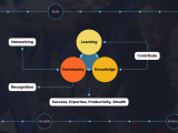 The Importance Of Knowledge In The Developer Ecosystem