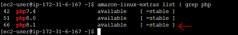 How To Install Php 81 On Amazon Linux 2 Instance Cloudkatha