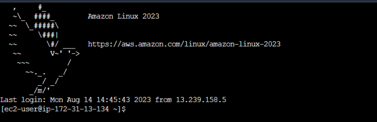 How to Install Python on Amazon Linux 2023 - CloudKatha