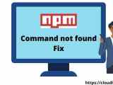 How To Fix Npm Command Not Found Error Node Js 8 Solutions