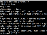 How To Install Python In Linux Correctly Python 3 9 And Pip 20 3