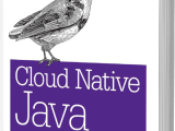 Cloud Native Java Book