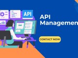 Api Management What Is Api Benefits Of Api Cloudopi