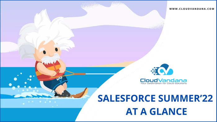 SALESFORCE SUMMER’22 AT A GLANCE