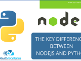 5 Key Differences Between Nodejs And Python