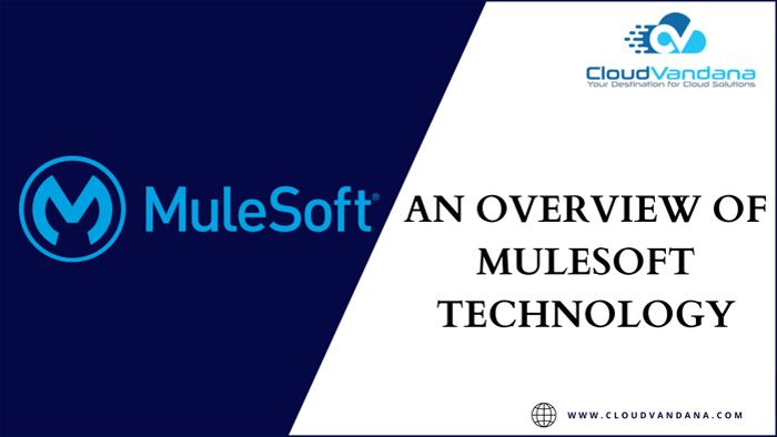 An Overview Of Mulesoft Technology
