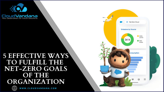 5 WAYS TO FULFILL NET ZERO GOALS OF ORGANIZATIONS