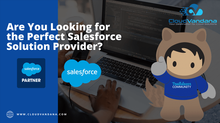 Are You Looking For The Perfect Salesforce Solution Provider?