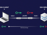 Telnet Vs Ssh How Is Ssh Different From Telnet In 2022 рџ ќ Cloudzy