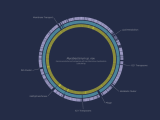 Github Cmdcolin Awesome Genome Visualization A List Of Interesting