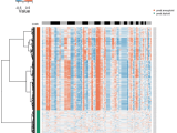 Awesome Genome Visualization