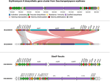 Awesome Genome Visualization