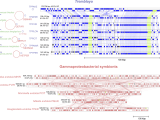 Screenshot Of Genome Plots Processing