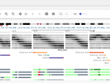 Github Cmdcolin Awesome Genome Visualization A List Of Interesting