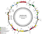 Github Cmdcolin Awesome Genome Visualization A List Of Interesting