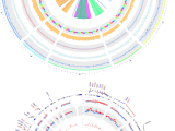 Github Cmdcolin Awesome Genome Visualization A List Of Interesting
