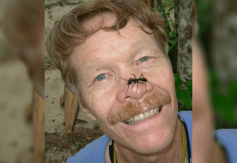 The Schmidt Sting Pain Index Tells You How Painful Insect Stings Are ...