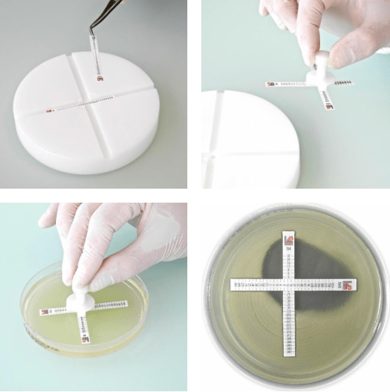 Liofilchem Microbiology products (Antimicrobial resistance management ...