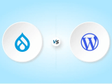 Drupal Vs Wordpress Which Cms To Choose