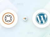 Adobe Experience Manager Vs Wordpress Which Is Best Cms