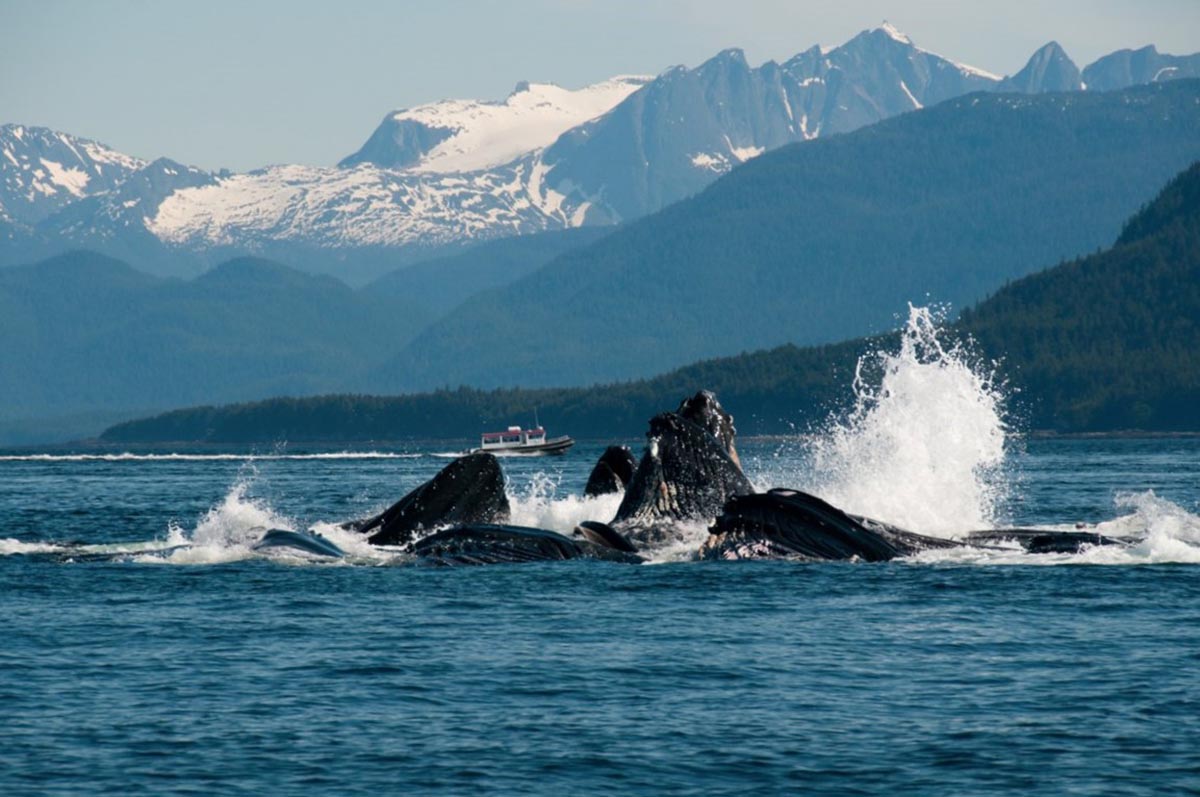 Colonial Nature Photography Club | The Colonial Nature Photography Club ...