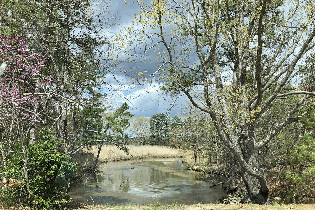 Colonial Nature Photography Club | The Colonial Nature Photography Club ...