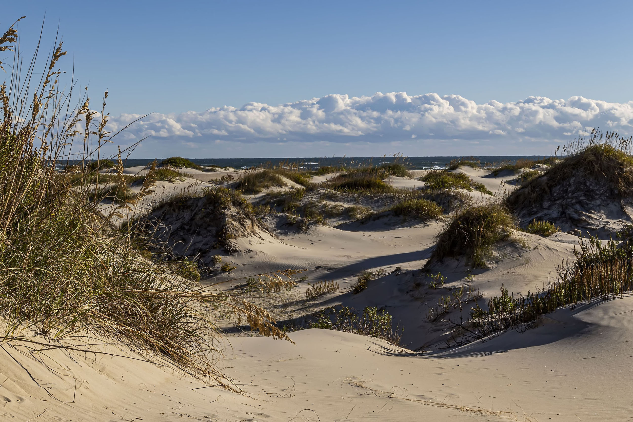 Colonial Nature Photography Club | The Colonial Nature Photography Club ...