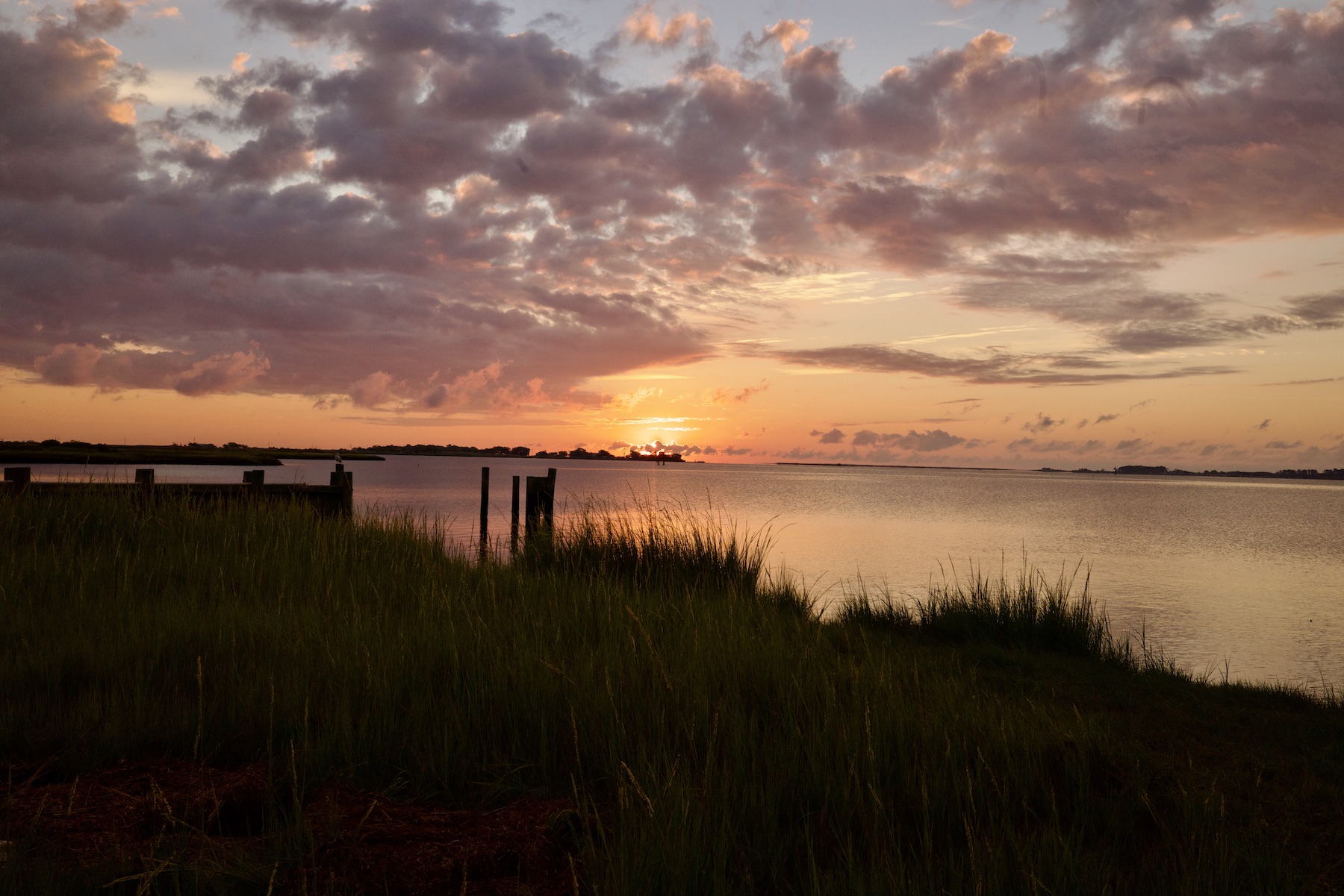 Colonial Nature Photography Club | The Colonial Nature Photography Club ...