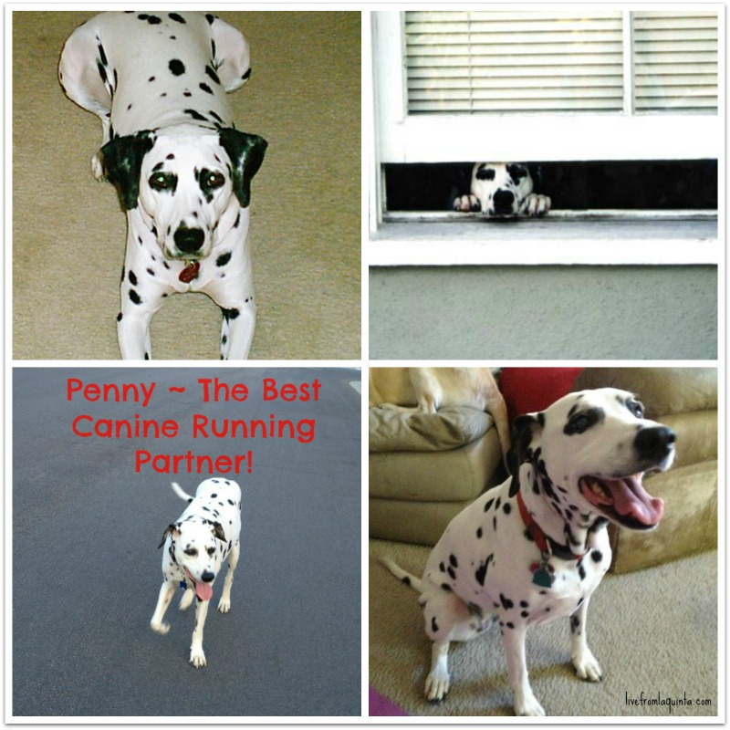 It's National Running Day! Running with Penny - Live from La Quinta