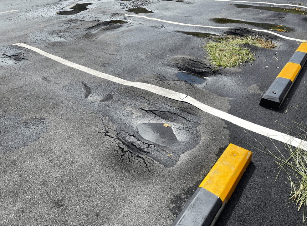 What are The 5 Common Causes of Asphalt Pavement Damage - Coats Of Armor