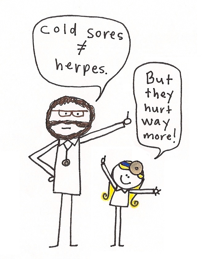 dr. sb says: cold sores ≠ herpes – cocoa likes this!