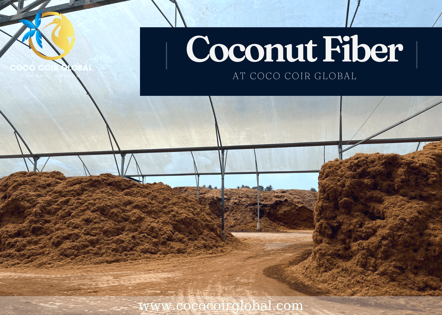 Coco Coir Global - Vietnam Manufacturer of High-grade Coconut Coir