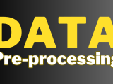 Mastering The Art Of Data Preprocessing Codanics
