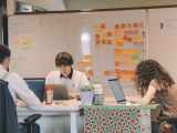 Website Development Team Structure Code Care