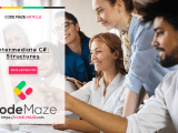 C Intermediate Structures Code Maze Blog