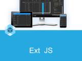 Ext Js Code Partners