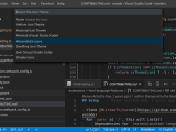 Contribution Points Visual Studio Code Extension Api
