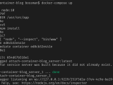 Inspecting Containers With Vs Code