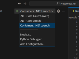 Asp Net Core In A Container