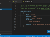 Visual Studio Code Debug Configuration