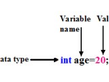 Datatype And Variables In Java Programming Language Codeforcoding