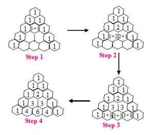 C program to Generate Pascal triangle using 1 D array - Codeforcoding